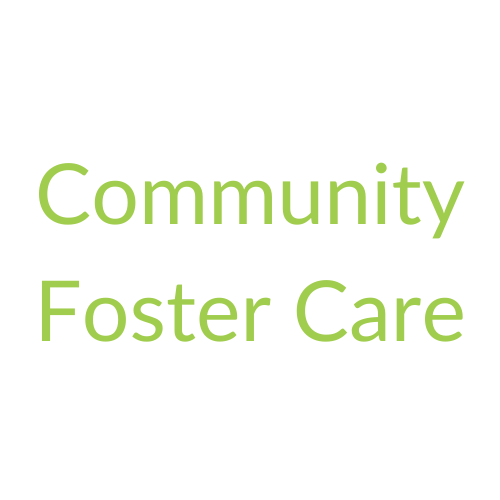 Community Foster Care - The Diversity Trust
